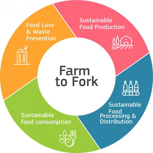 Strategia From Farm To Fork Dal Produttore Al Consumatore GAL strategia-from-farm-to-fork-dal-produttore-al-consumatore-gal